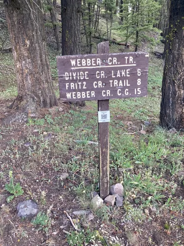 Best Forest Trails in Dubois | AllTrails