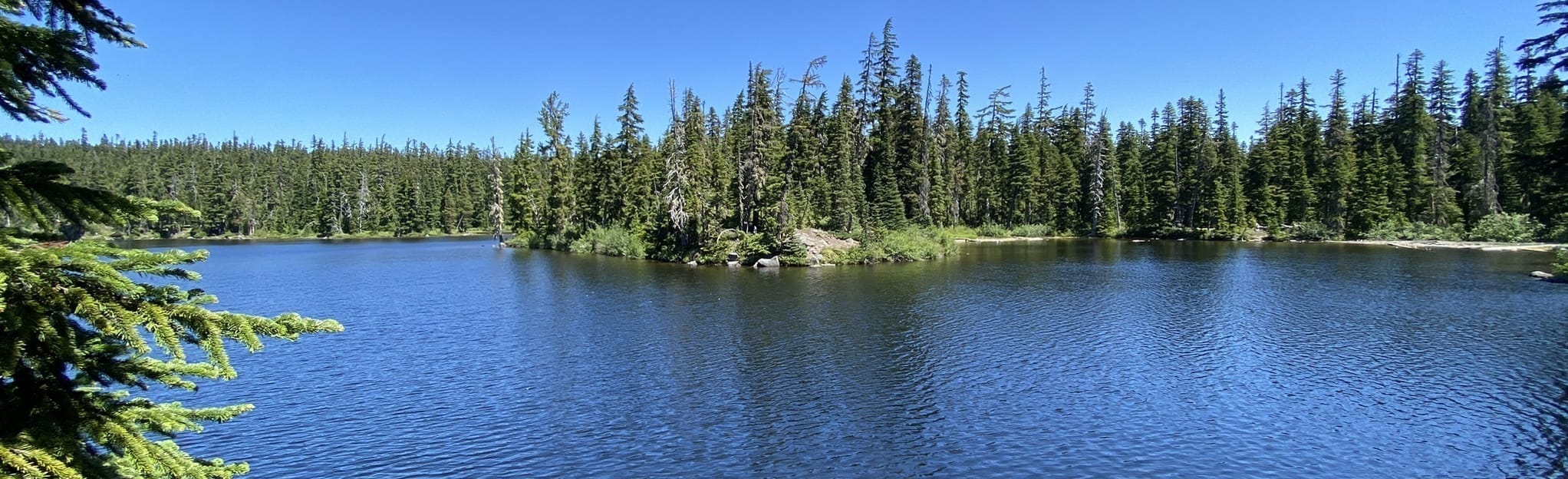 Shellrock Lake Trail: 34 fotos - Washington | AllTrails