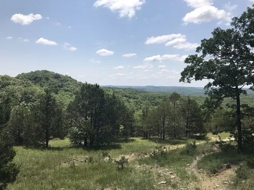 10 Best Walking Trails in Mark Twain National Forest | AllTrails