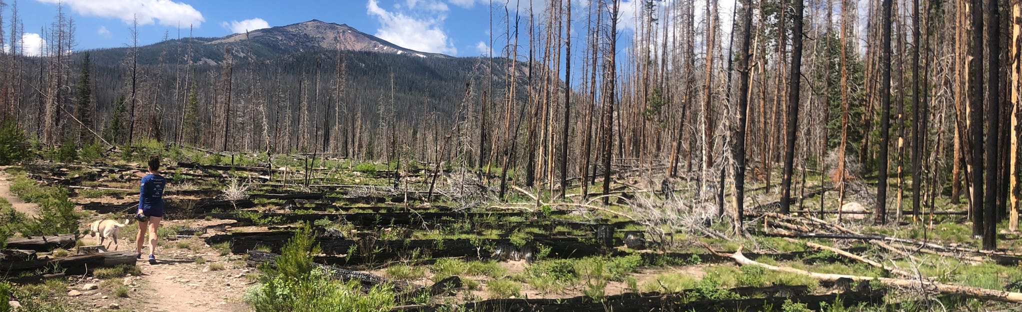 Seven Lakes Trail, Colorado - 26 Reviews, Map | AllTrails