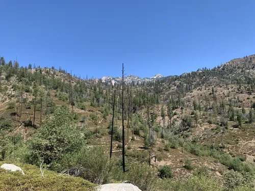 Best Hikes and Trails in Monarch Wilderness | AllTrails