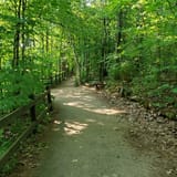 Stephens' Falls Trail, Wisconsin - 177 Reviews, Map | AllTrails