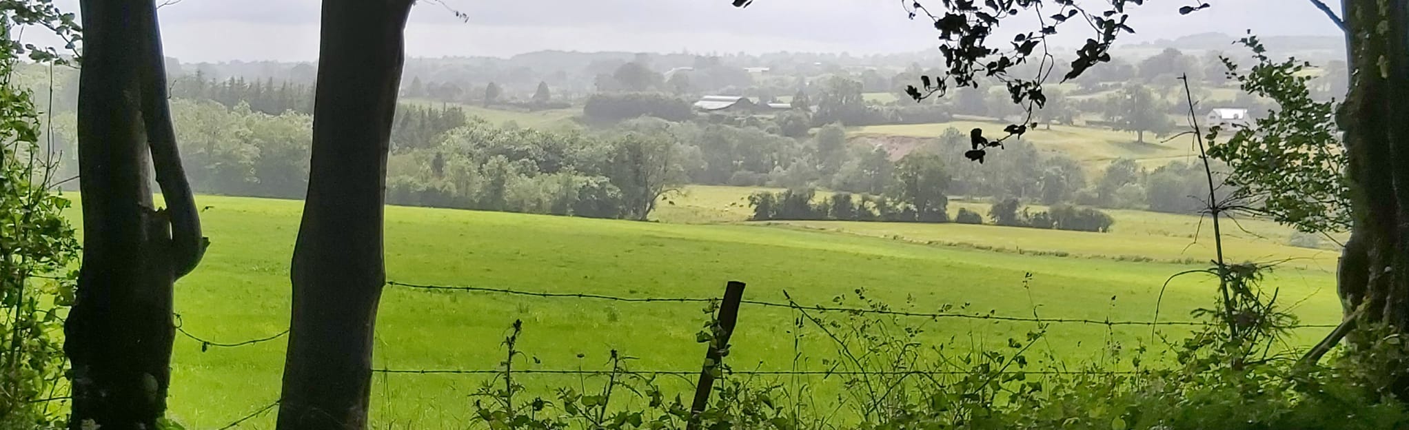 Castlecomer Discovery Park, County Kilkenny, Ireland - 9 Reviews, Map ...