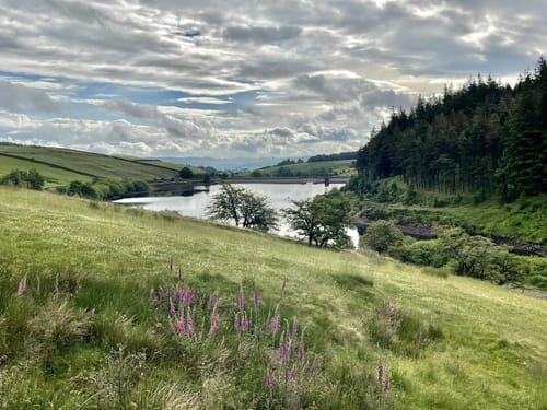 Best 10 Hikes and Trails in Forest of Bowland Area of Outstanding ...