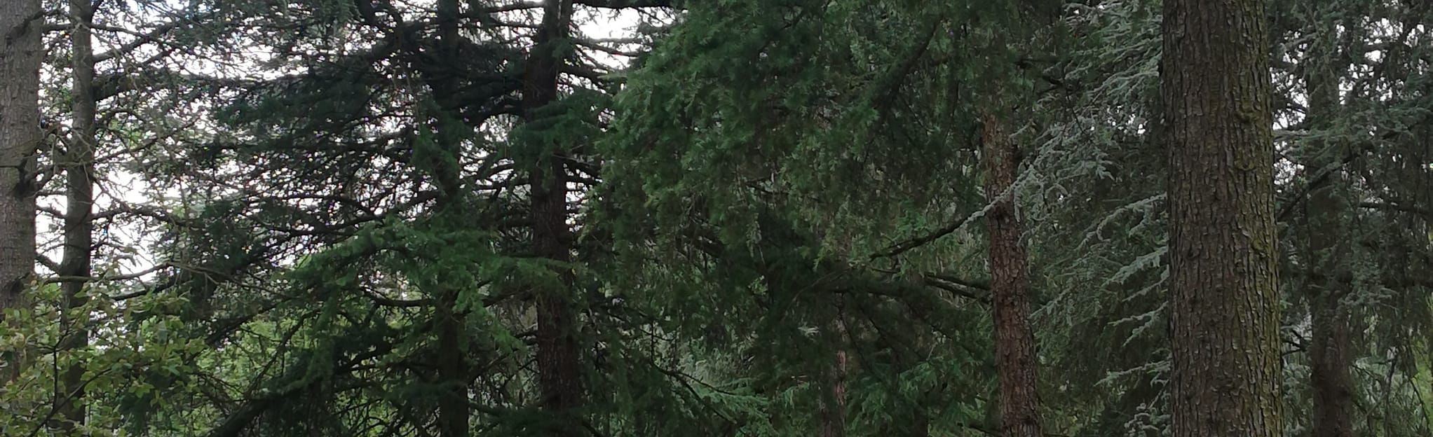 Parc de Parilly: 92 Reviews, Map - Rhône, France | AllTrails