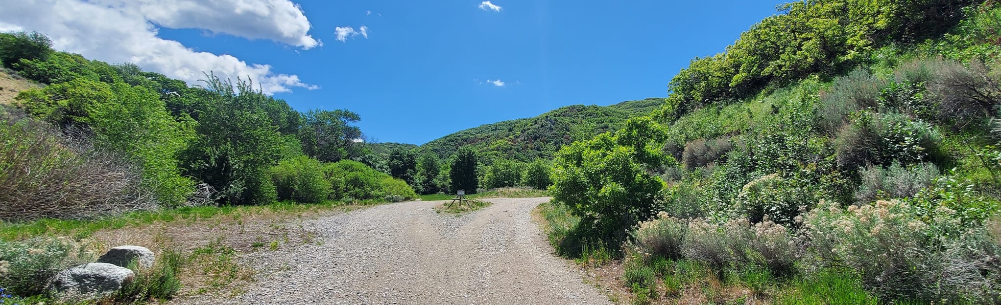 Corner Canyon Road, Canyon Hollow, Brock's Point and Clarks Trail: 314 ...