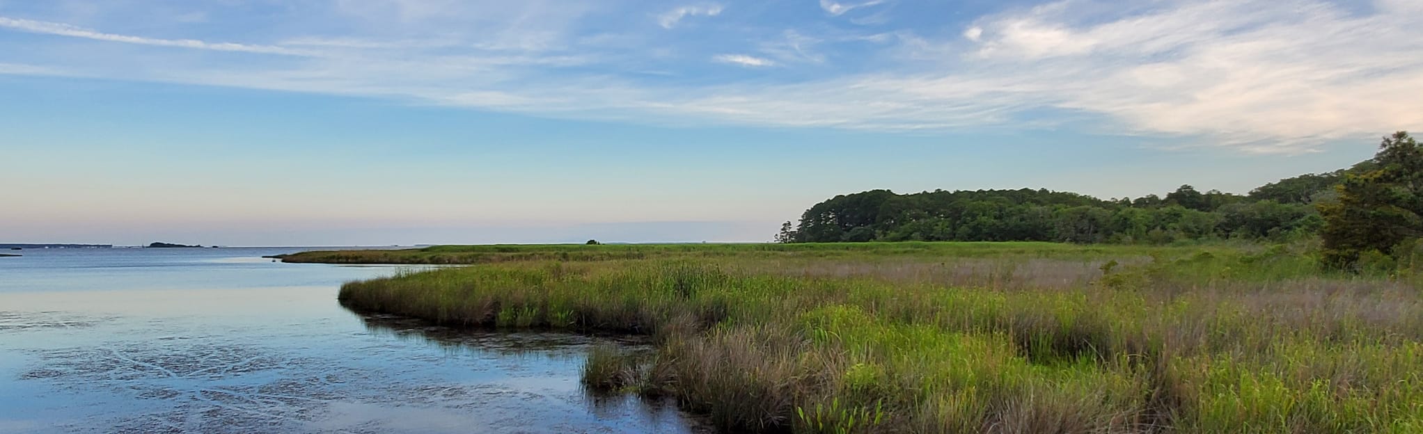 Currituck Banks Boardwalk Trail | Map, Guide - North Carolina | AllTrails