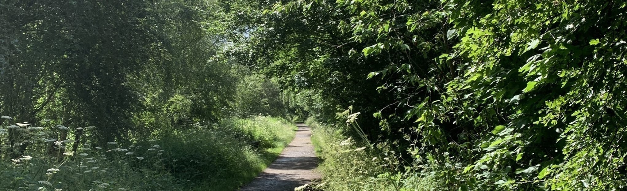 Stockley Trail from Carr Vale, Derbyshire, England - 26 Reviews, Map ...