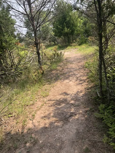 Best Hikes and Trails in North Point Park | AllTrails