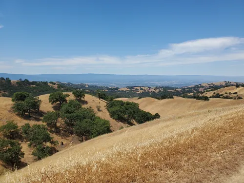2023 Best 10 Trails and Hikes in Mount Hamilton | AllTrails