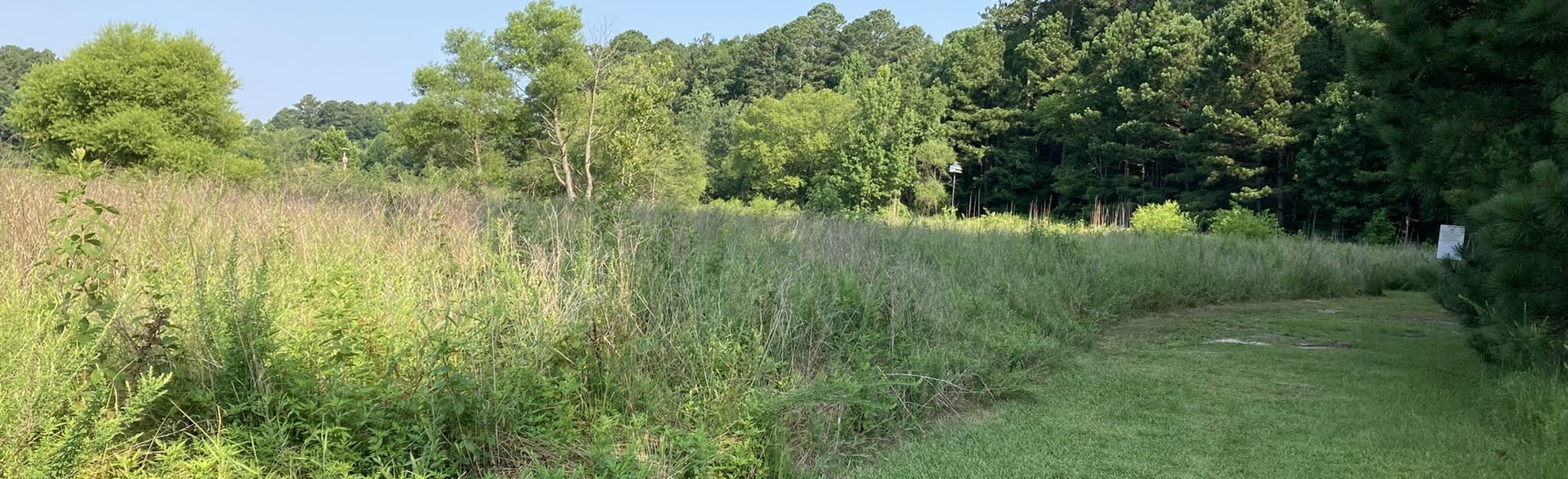 Lake Crabtree Loop Trail, North Carolina - 511 Reviews, Map | AllTrails