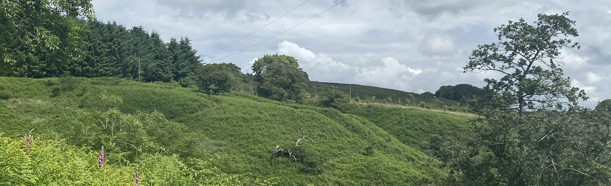 AONB Forest of Bowland Circular, Lancashire, England - 5 Reviews, Map ...