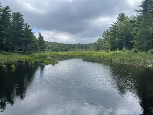 Best Hikes and Trails in Steepletop Reserve | AllTrails