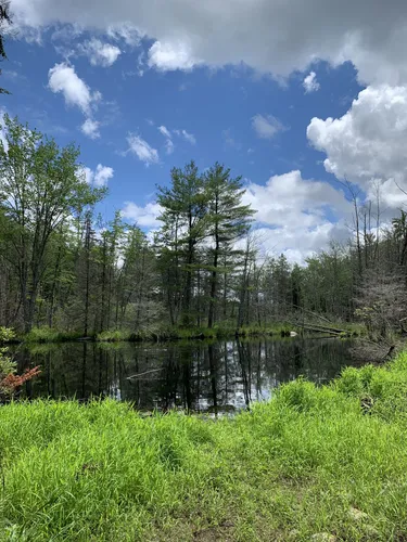 Best Hikes and Trails in Watatic Mountain State Wildlife Area | AllTrails