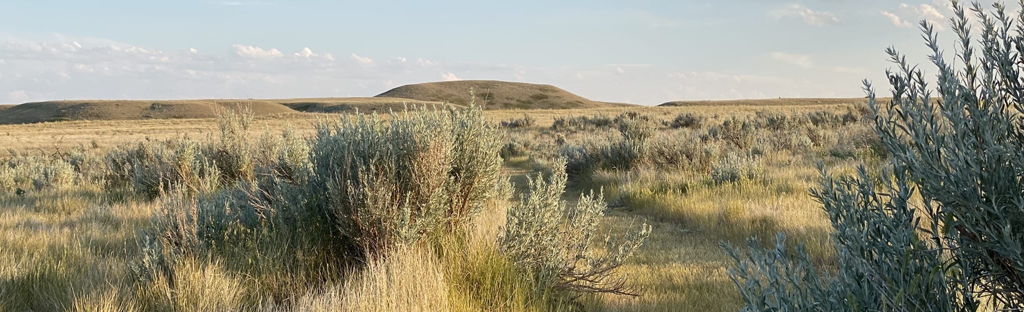 Larson Interpretive Trail: 15 Reviews, Map - Saskatchewan, Canada ...