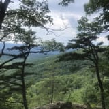 Mathews Arm Overall Run Trail, Virginia - 242 Reviews, Map | AllTrails