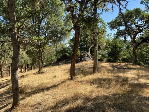 10 Best Trails and Hikes in Ukiah | AllTrails