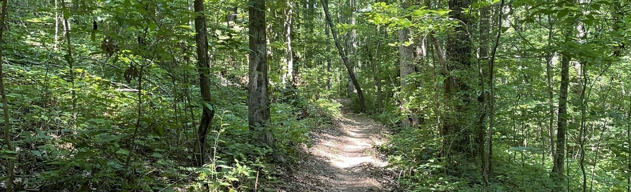 Trussville Sports Complex Trails Loop | Map, Guide - Alabama | AllTrails