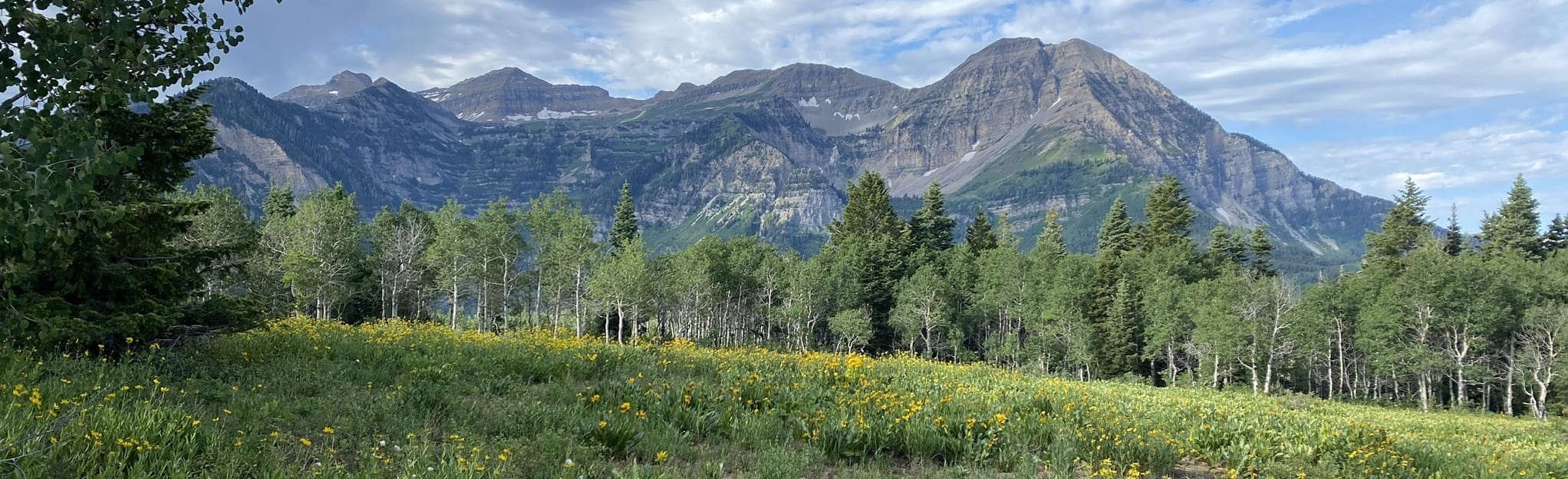 Pine Hollow Peak via Mud Springs and Pine Hollow Trail: 1.129 foto's ...