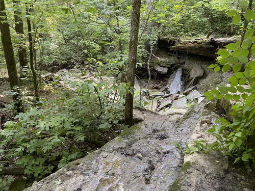 Best Hikes and Trails in Broad Run Park | AllTrails