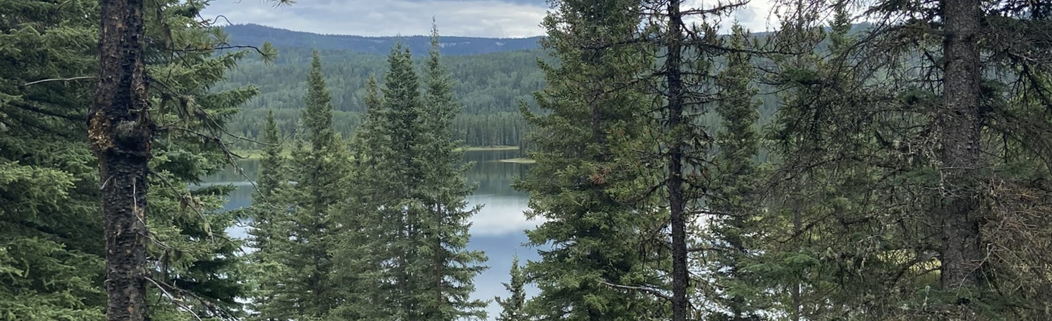 Cache Lake via Kettle Trail: 32 Reviews, Map - Alberta, Canada | AllTrails