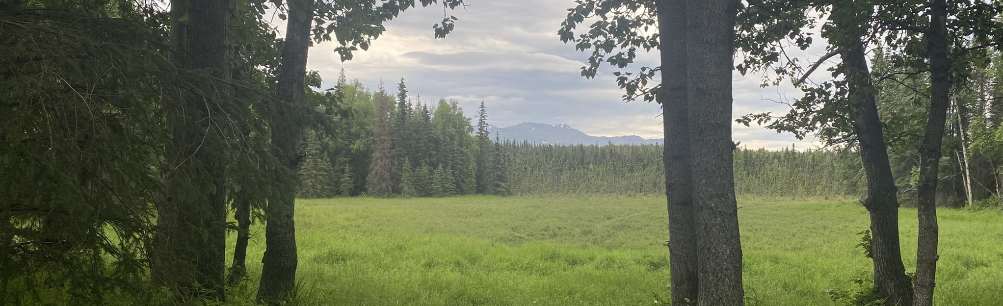 Campbell Tract Loop National Recreation Trail: 379 Zdjęcia – Alaska ... Campbell Tract Loop National Recreation Trail: 379 Zdjęcia – Alaska ...