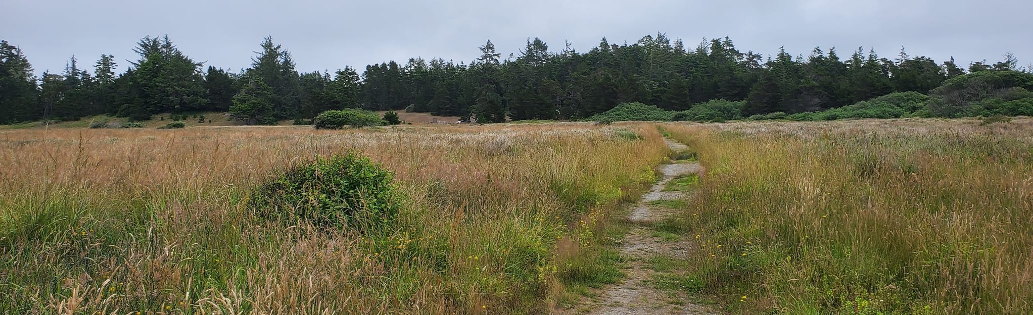 Dead Lake Trail, California - 238 Reviews, Map | AllTrails