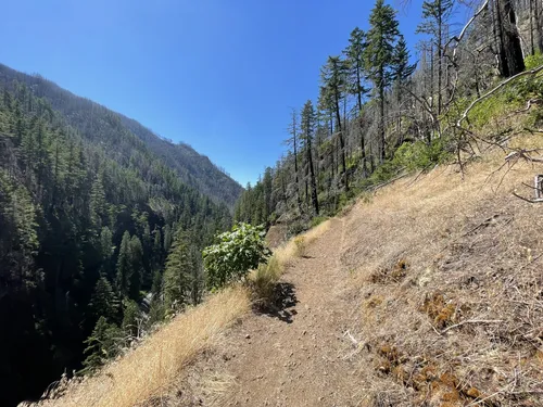 10 Best Trails and Hikes in Oregon | AllTrails