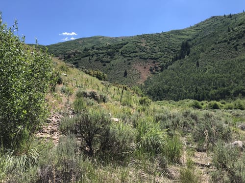 2023 Best Historic Site Trails in Morgan | AllTrails