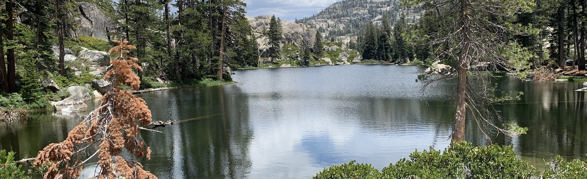 Grouse Lake via Emigrant Wilderness Loop | Map, Guide - California ...