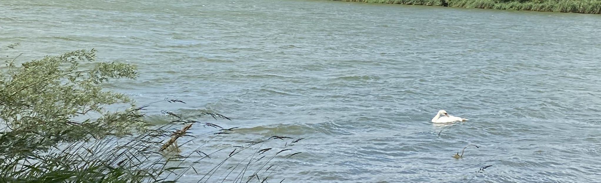 De Vere and Cerney Wick Circular: 156 Fotos - Gloucestershire, England ...