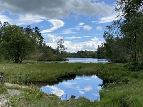 2023 Best 10 Walking Trails in Hawkshead | AllTrails