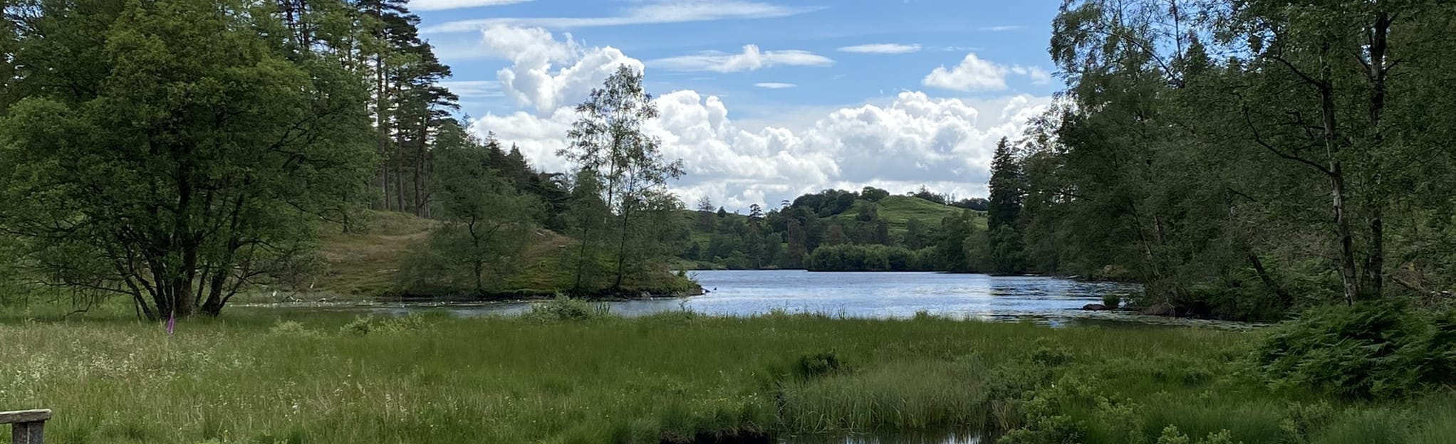 Hawkshead Hill, Tarn Hows, and Trover Intake Circular, Cumbria, England ...
