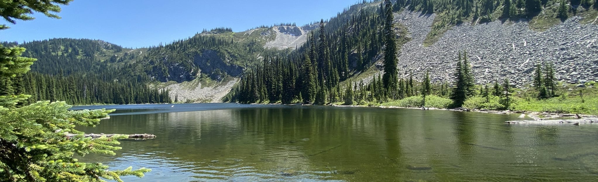 Nicomen Lake to Grainger Creek, British Columbia, Canada - 9 Reviews ...