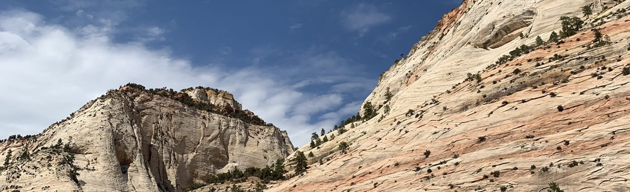 Cascade Falls: 103 Reviews, Map - Utah | AllTrails