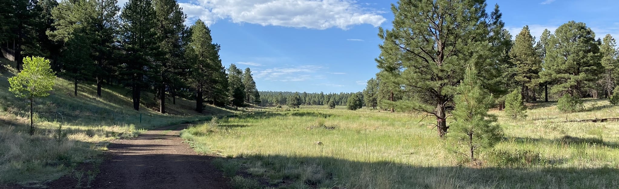 Switzer Wash Trail via Foxglenn Trail: 67 Reviews, Map - Arizona ...