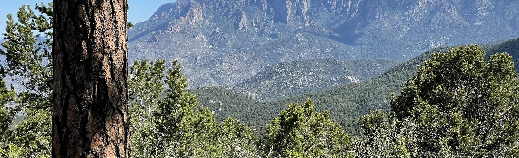 Whitewash and Embudito Canyon Loop: 92 Reviews, Map - New Mexico ...