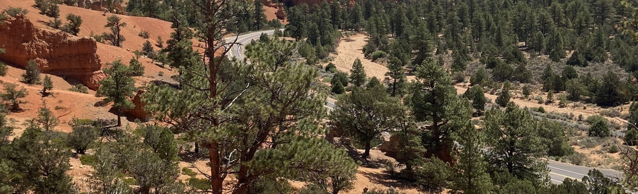 Pink Ledges, Bird's Eye and Photo Trail Loop - Utah | AllTrails