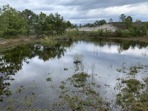 2023 Best 10 Trails And Hikes In Ipswich Alltrails