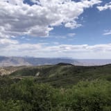 Utah Giant Sequoia Tree, Utah - 92 Reviews, Map | AllTrails