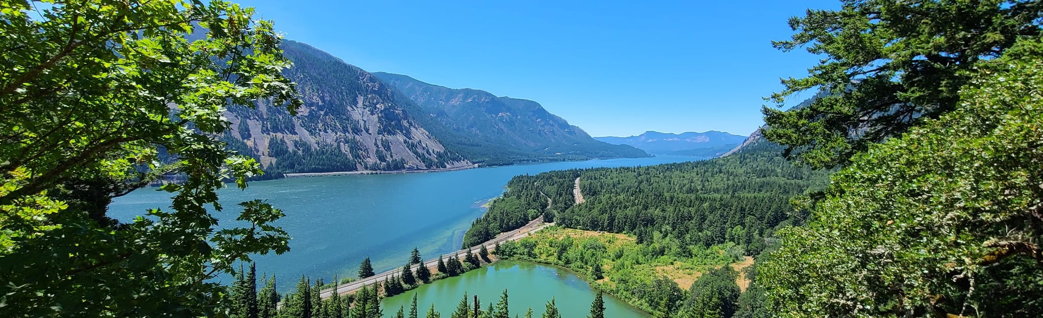 Augspurger Mountain Trail: 115 Reviews, Map - Washington | AllTrails