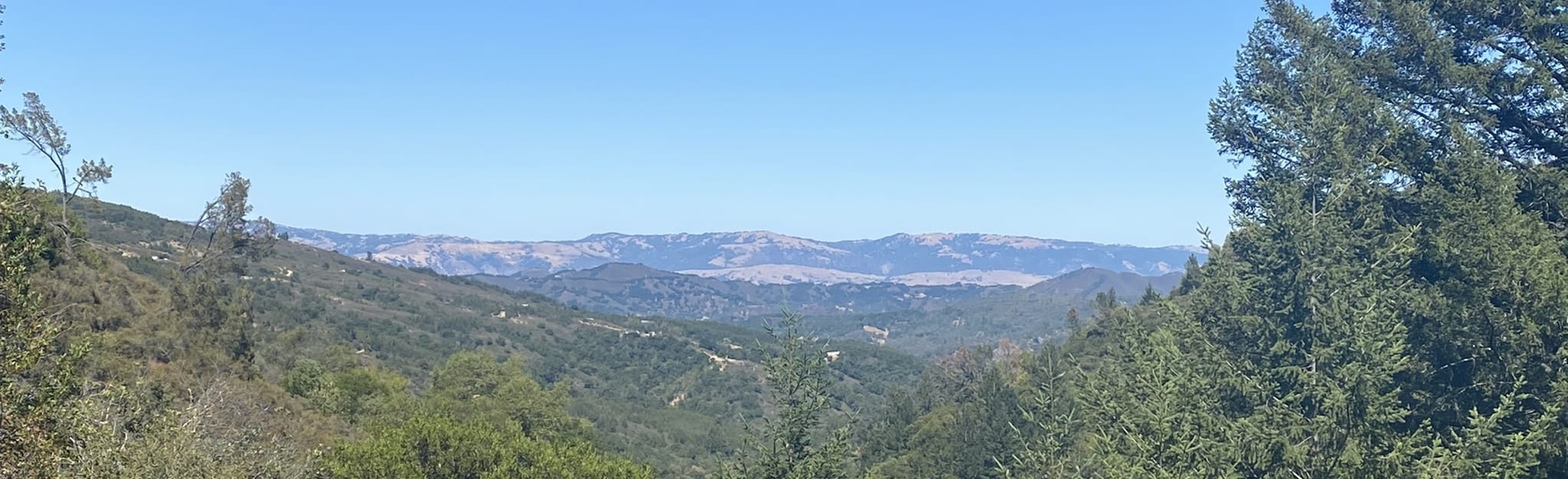 Uvas Canyon Short Waterfall Loop - California | AllTrails