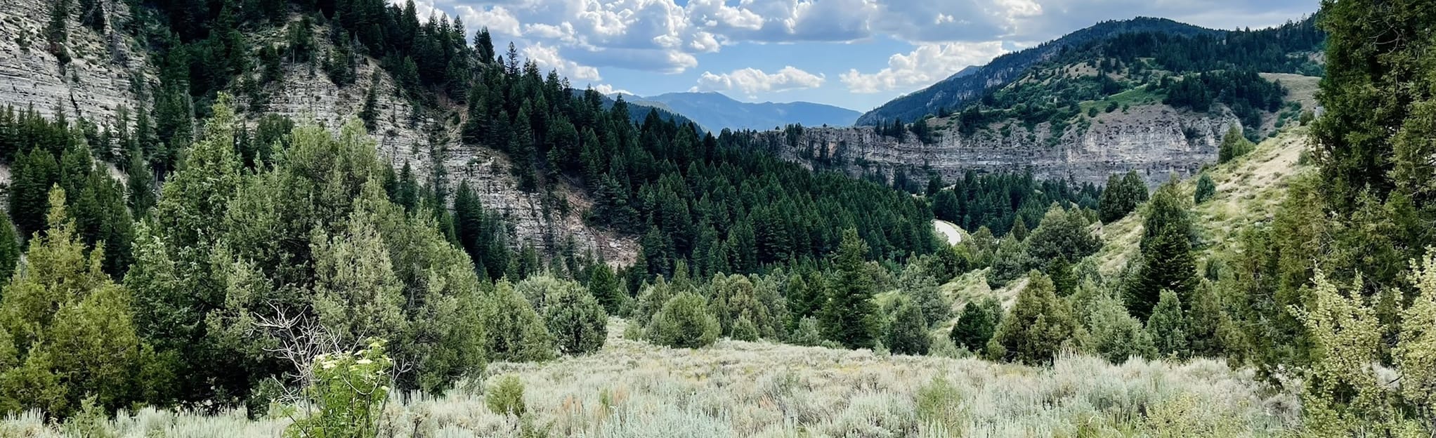 Blind Hollow Trail to Hansen Point, Utah - 97 Reviews, Map | AllTrails