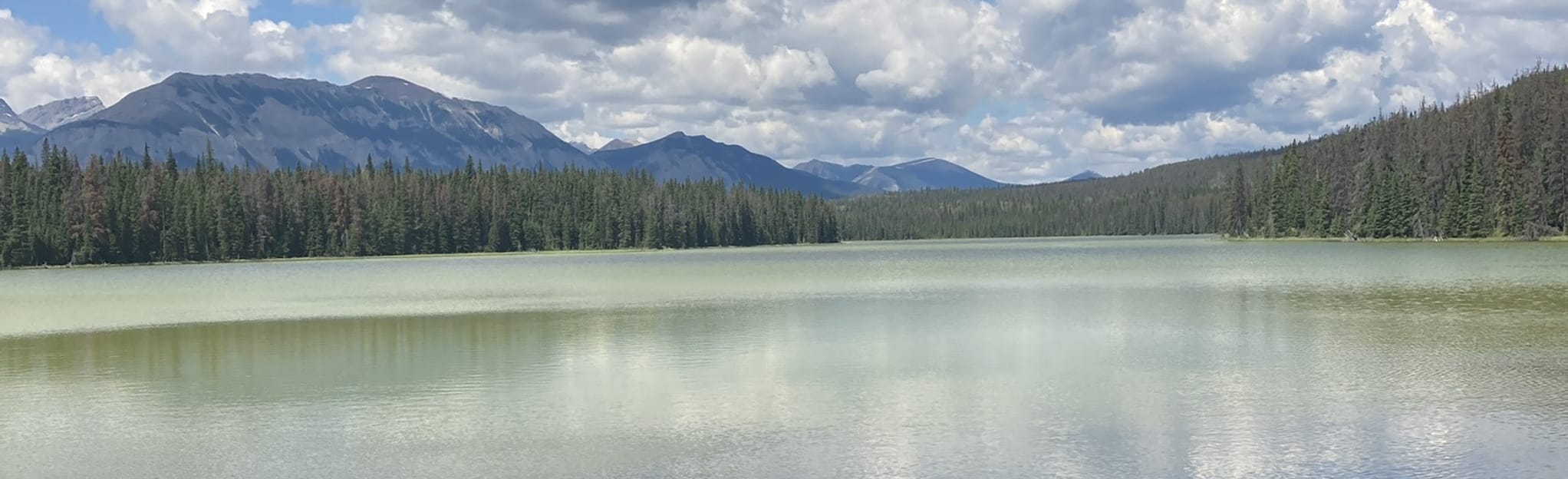 Devona Lookout and Celestine Lake, Alberta, Canada - 8 Reviews, Map ...