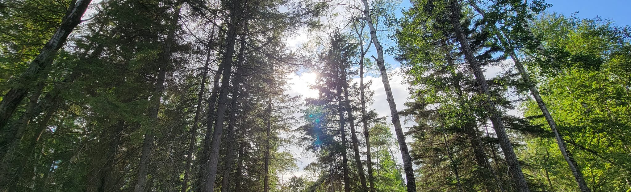 Madge Lake loop via SnowMan Trail: 39 Photos - Saskatchewan, Canada ...