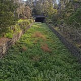 Galatea Point & Dights Falls Loop, Victoria, Australia - 205 Reviews ...