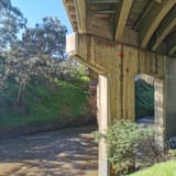 Galatea Point & Dights Falls Loop, Victoria, Australia - 205 Reviews ...