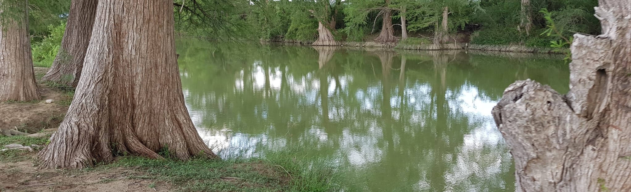 Río Sabinas, Coahuila, Mexico - 3 Reviews, Map | AllTrails