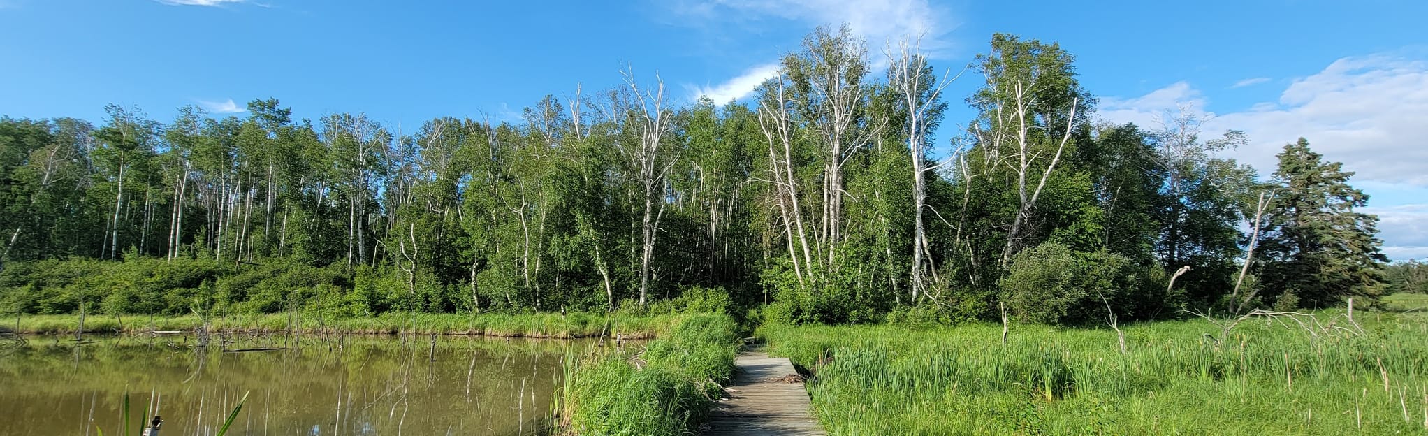 Pelly Point Nature Trail: 64 Reviews, Map - Saskatchewan, Canada ...