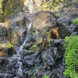 Highfields Falls Trail, Queensland, Australia - 29 Reviews, Map | AllTrails